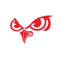 Slinger High School | High School Sports | Home | Hudl