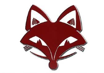 Boys Varsity Basketball - Fox Valley Lutheran High School - Appleton ...