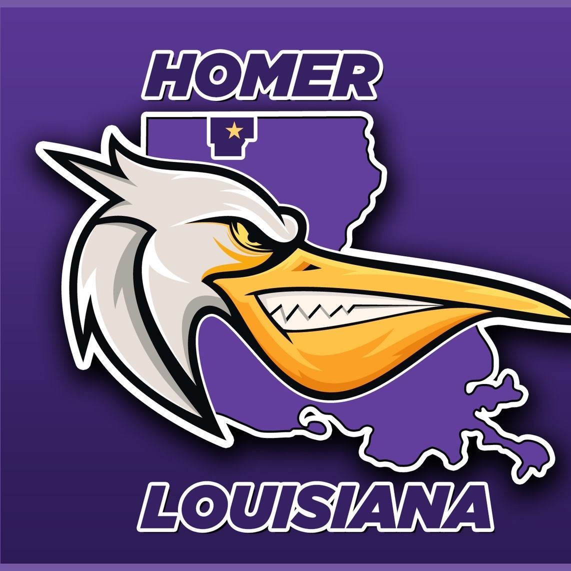 Homer High School | High School Sports | Home | Hudl
