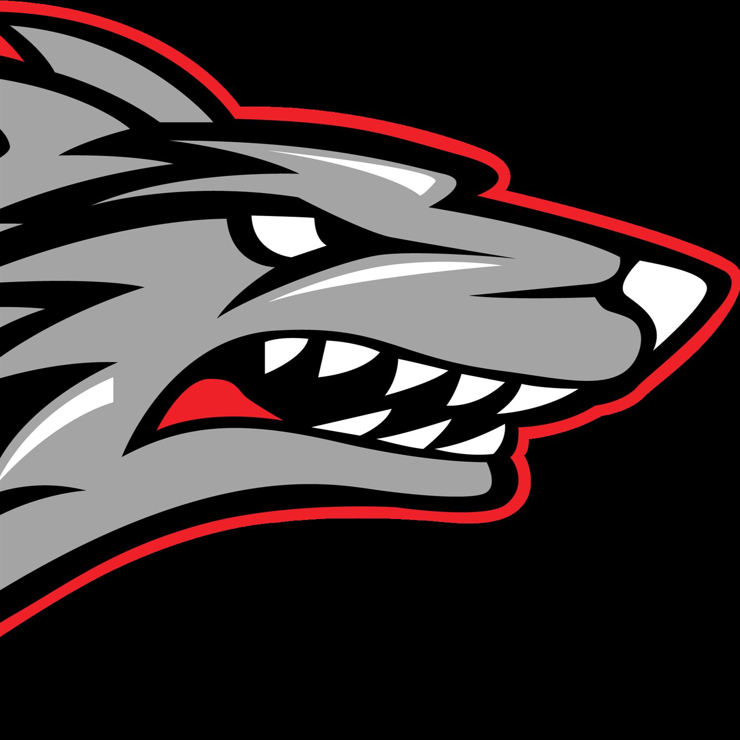 Reed City High School | High School Sports | Home | Hudl
