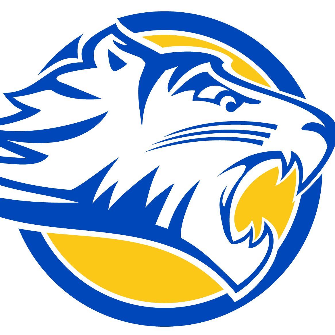 Lake Center Christian High School | High School Sports | Home | Hudl