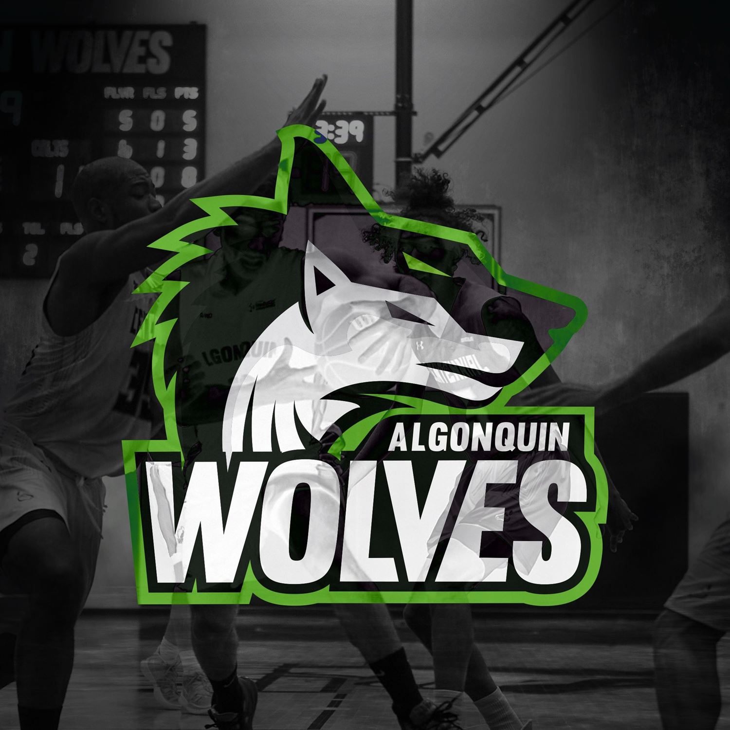 Algonquin College | College Sports | Home | Hudl