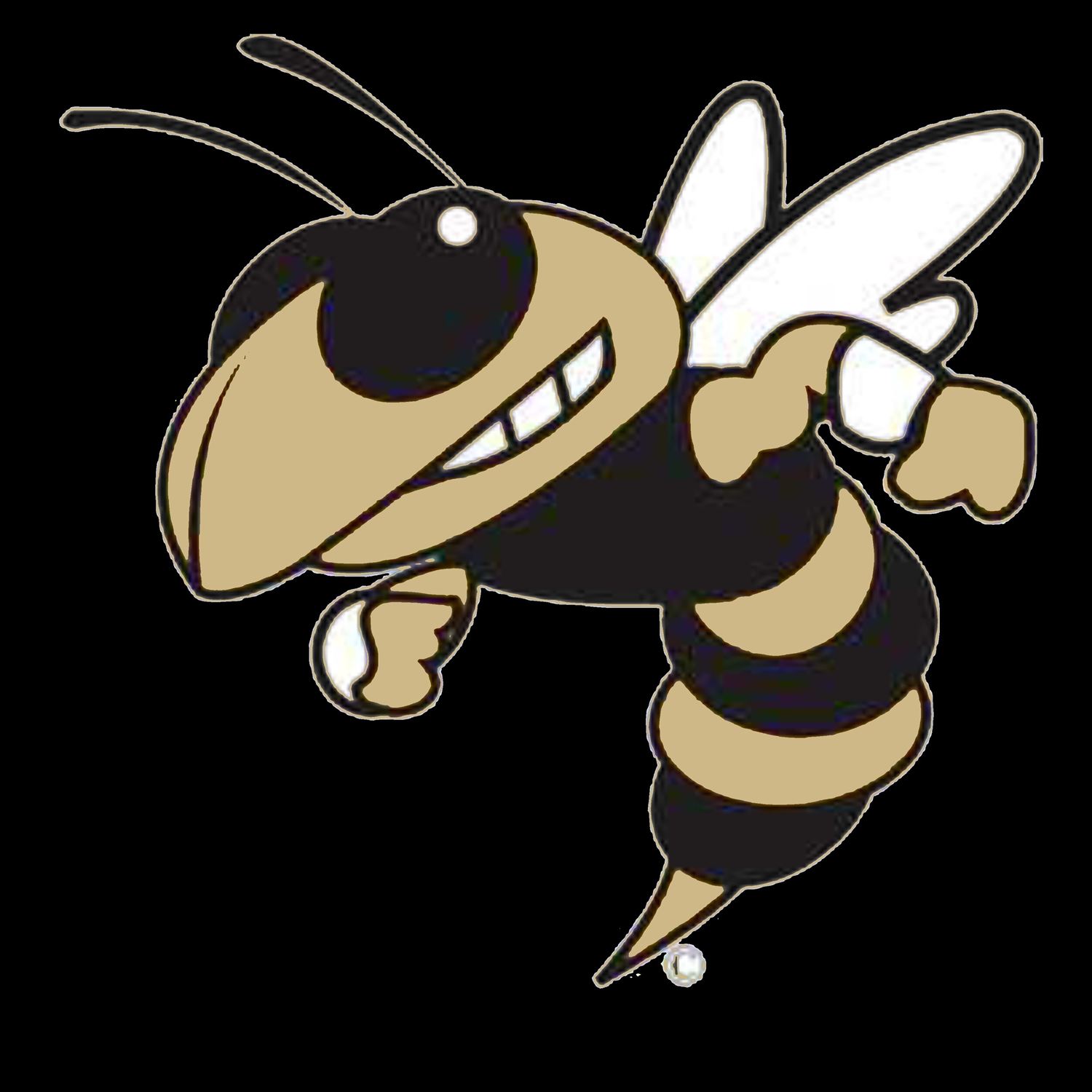 Springfield High School | High School Sports | Home | Hudl