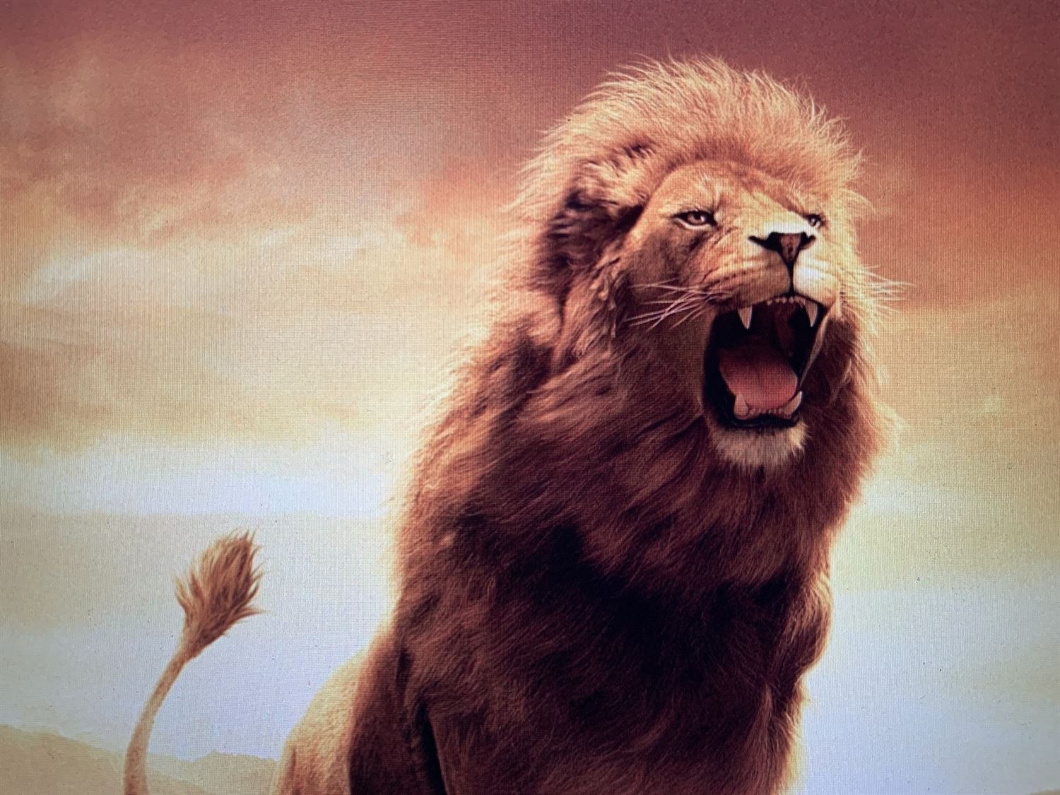 Singh Lion Wallpaper