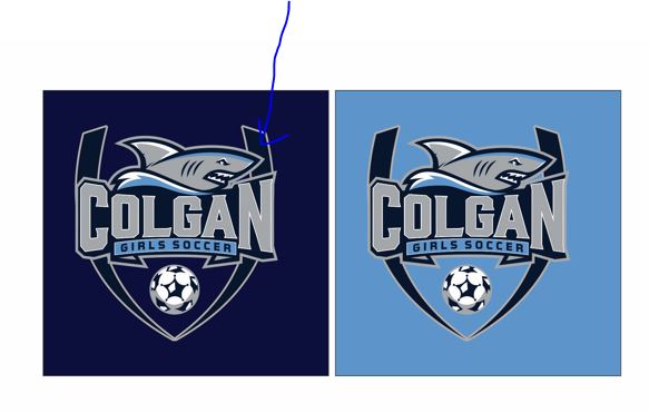 Manassas Sharks Logo