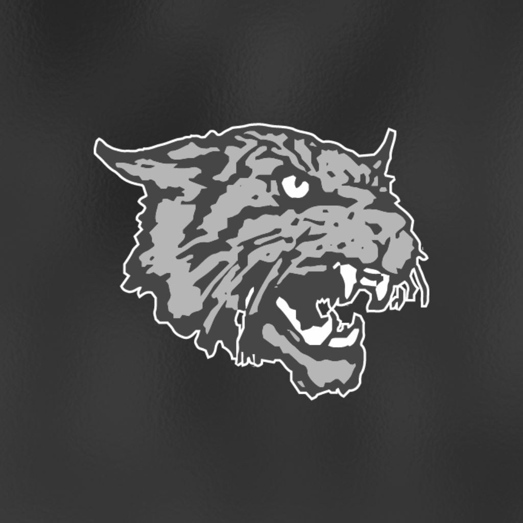 East Chapel Hill High School | High School Sports | Home | Hudl