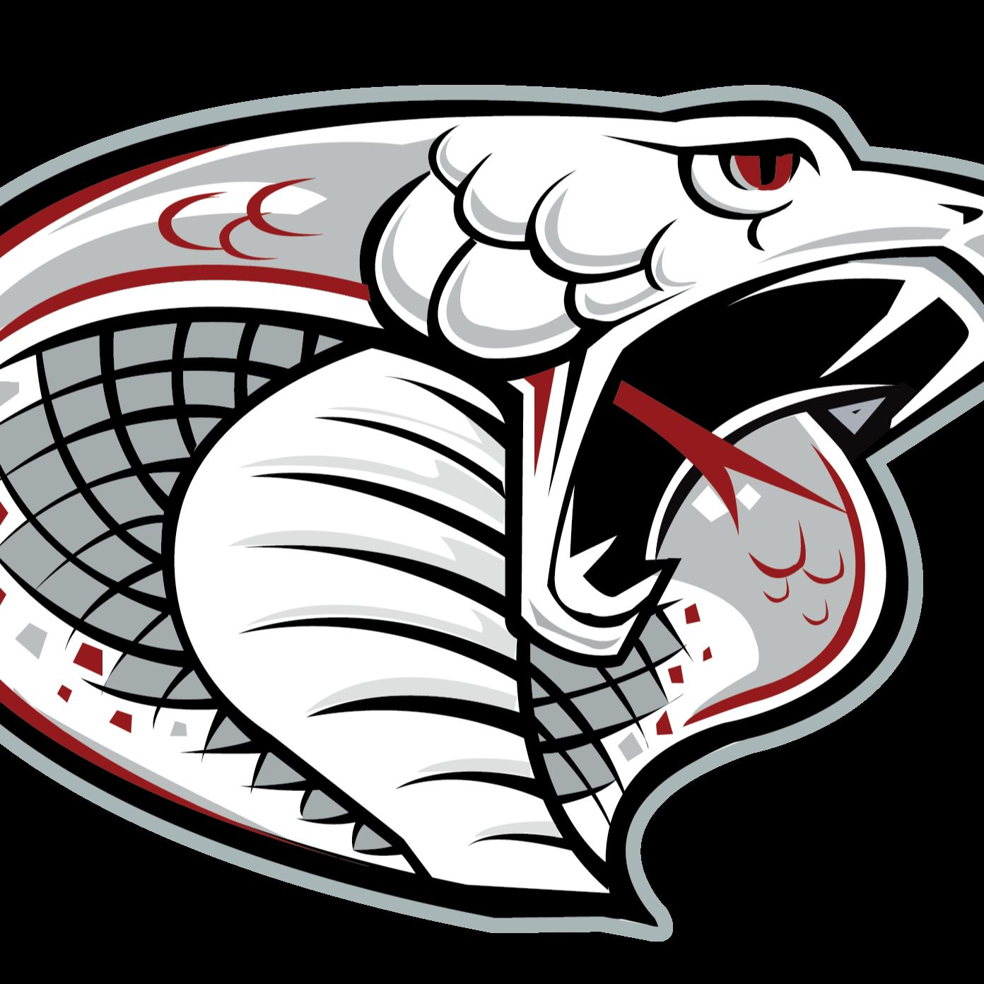 Triton High School | High School Sports | Home | Hudl