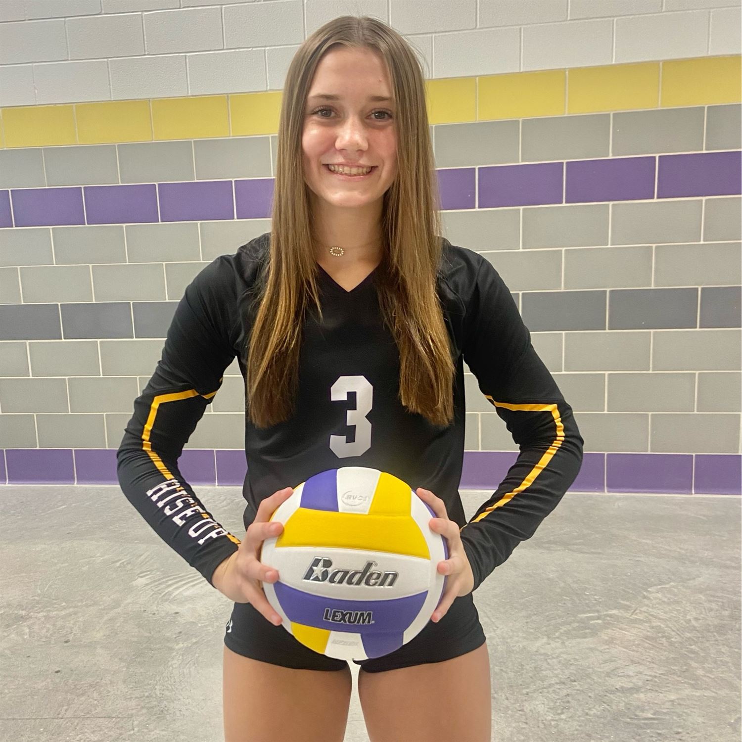 Volleyball Profile For School