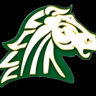 Hempstead High School Logo