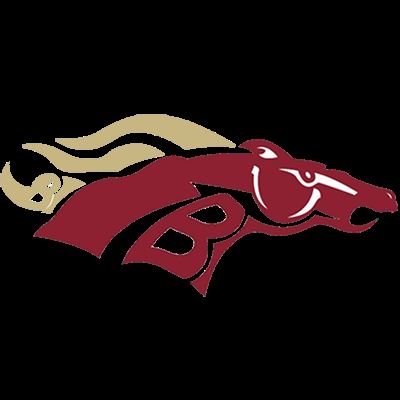 Brookwood High School Logo BISOT
