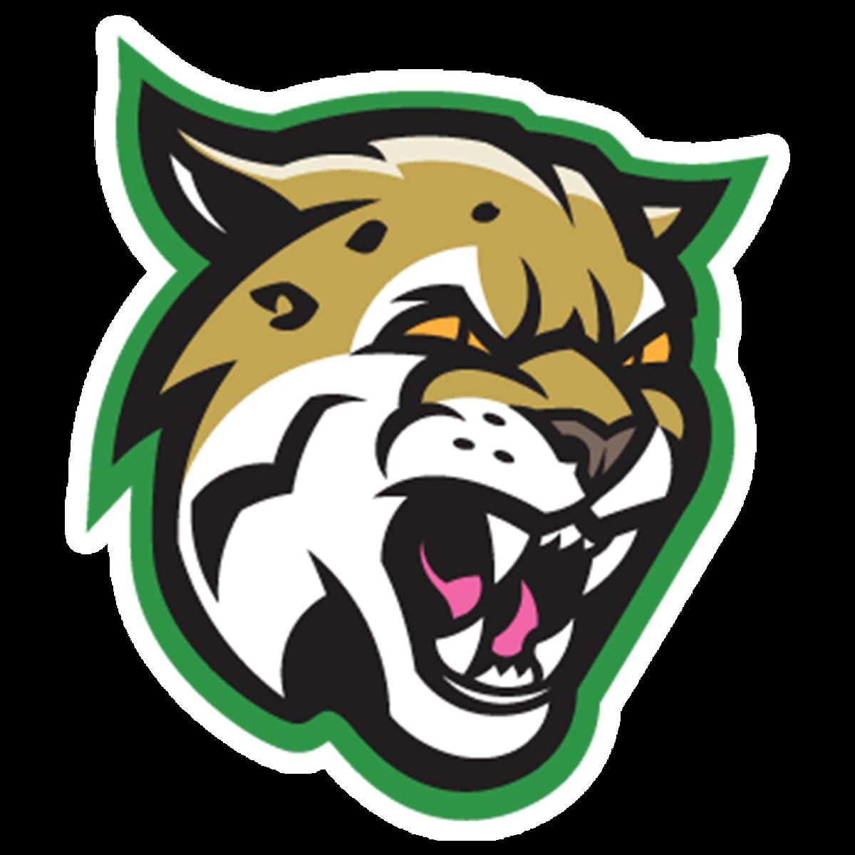 Hempstead High School | High School Sports | Home | Hudl