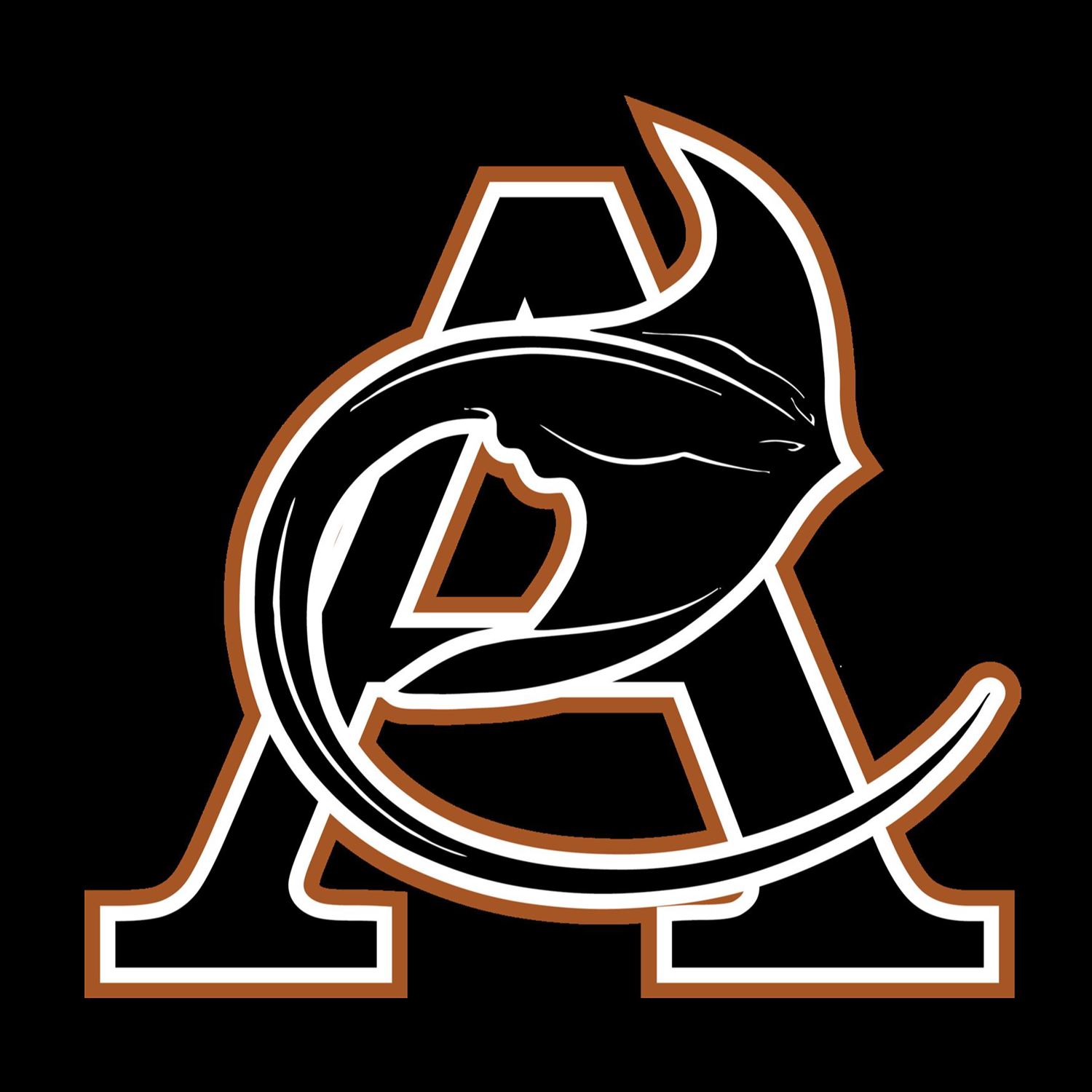 Atlantic Coast High School Logo Photos: High School Football, Nease