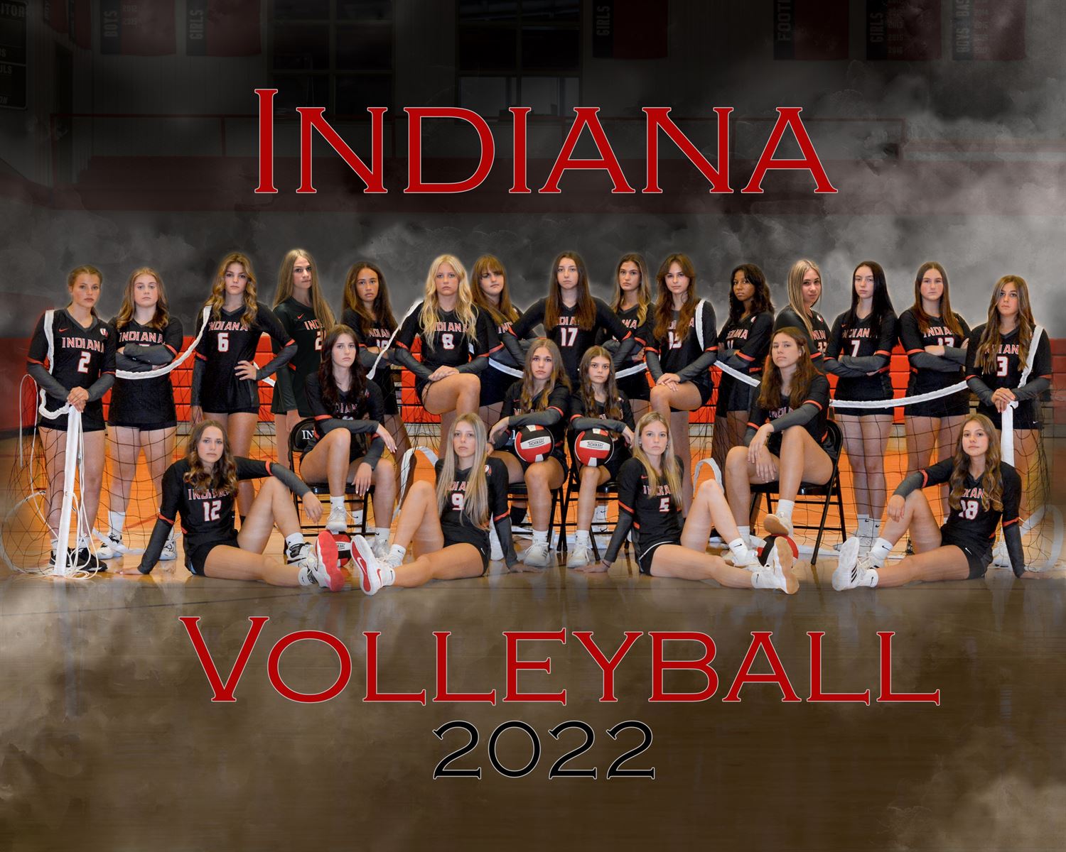 Volleyball Team Posters