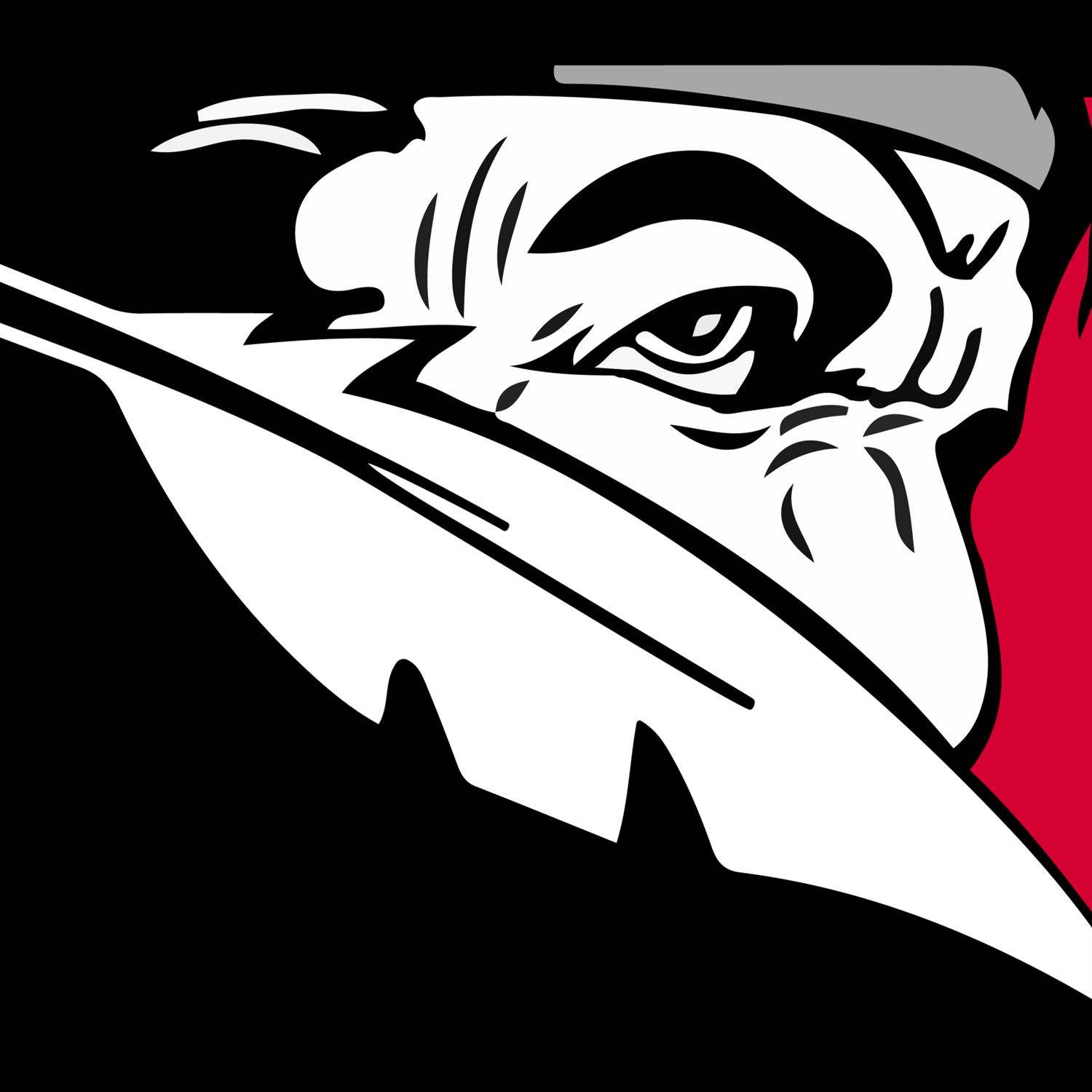 Erwin High School | High School Sports | Home | Hudl