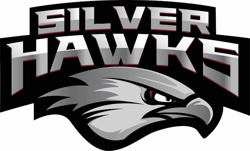 Silver Hawk Logo