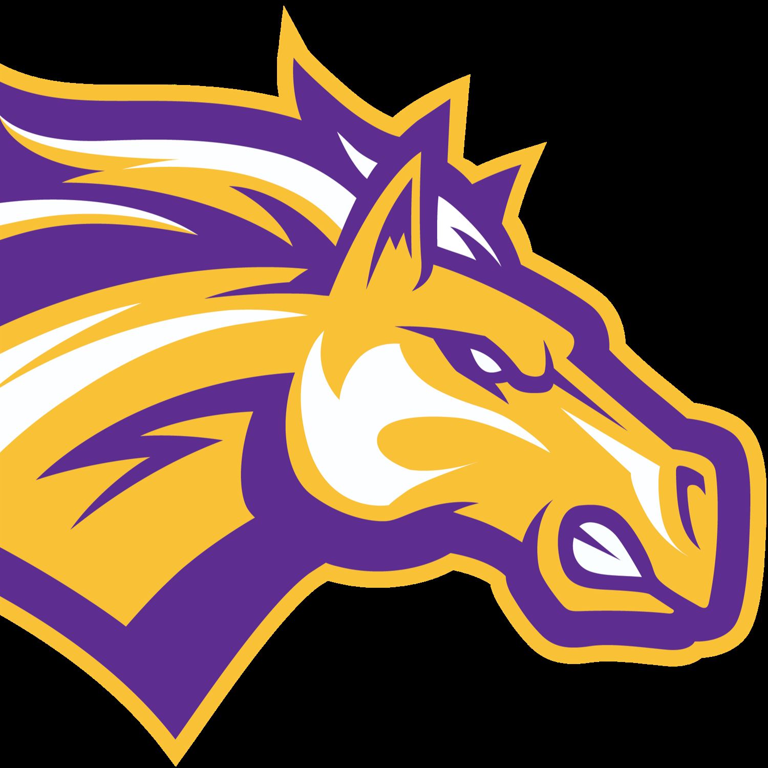 Rolling Meadows High School | High School Sports | Home | Hudl