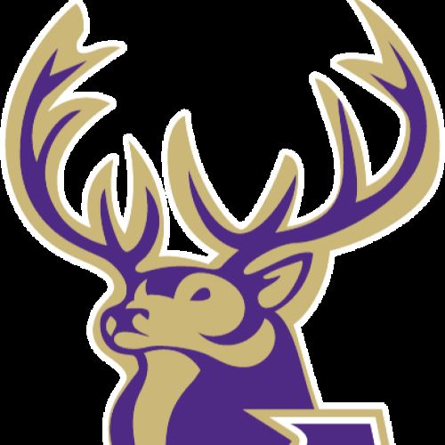 Alpine High School | High School Sports | Home | Hudl