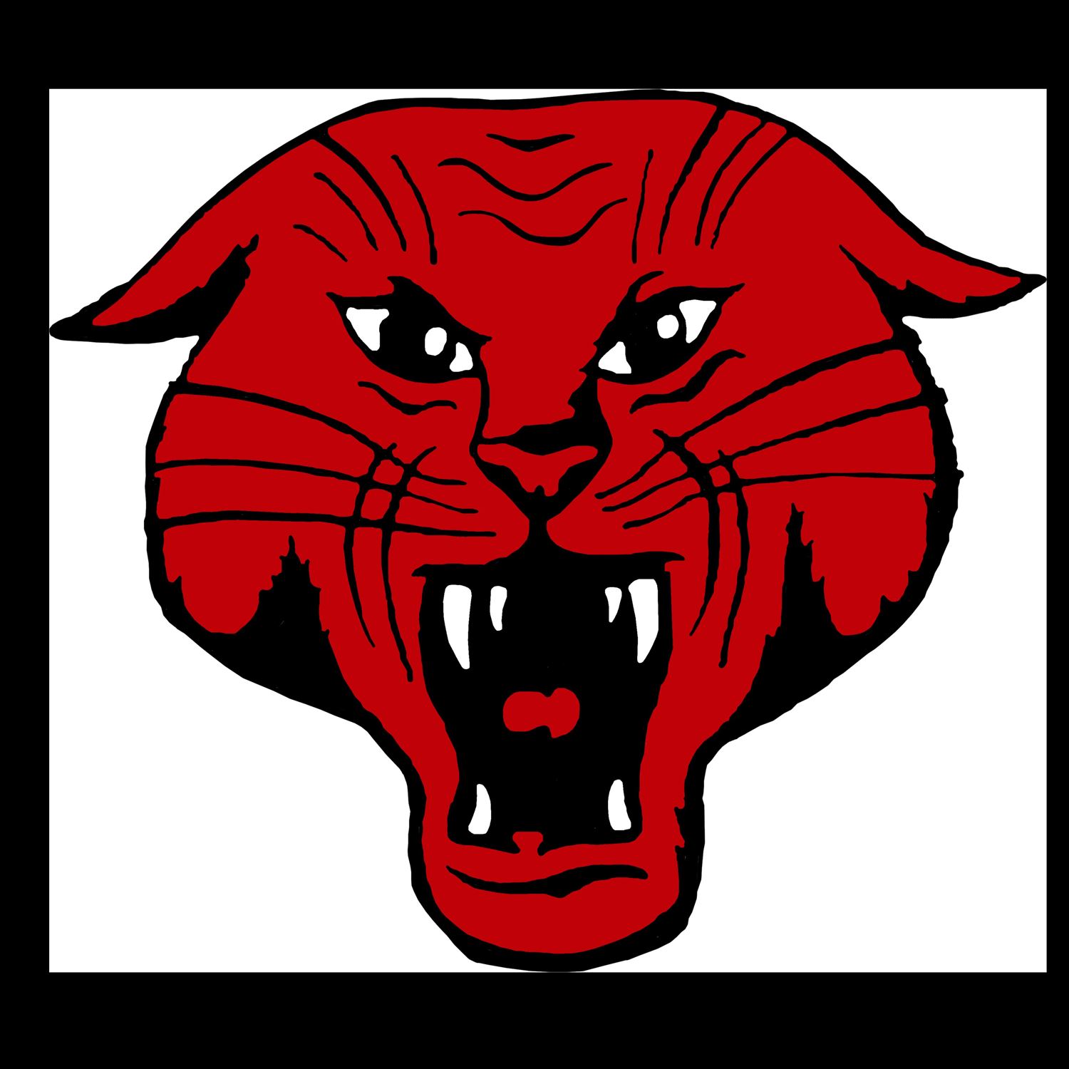 Ellsworth High School | High School Sports | Home | Hudl