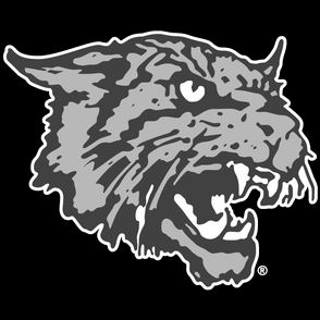 East Chapel Hill High School | High School Sports | Home | Hudl