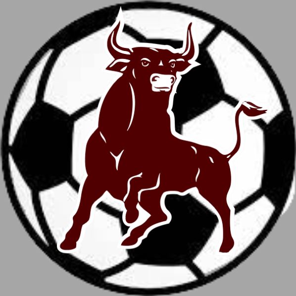 Bridgeport Bulls Logo