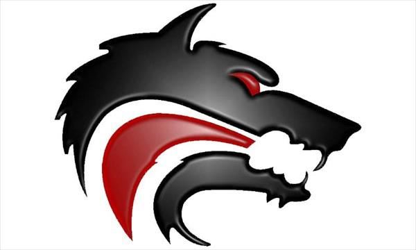 Wolves Logo Basketball