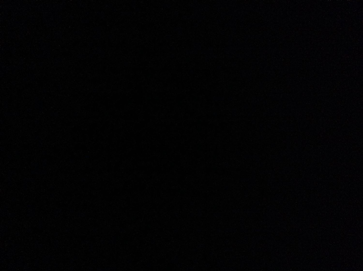 Izak Williams's Instagram, Twitter & Facebook on IDCrawl