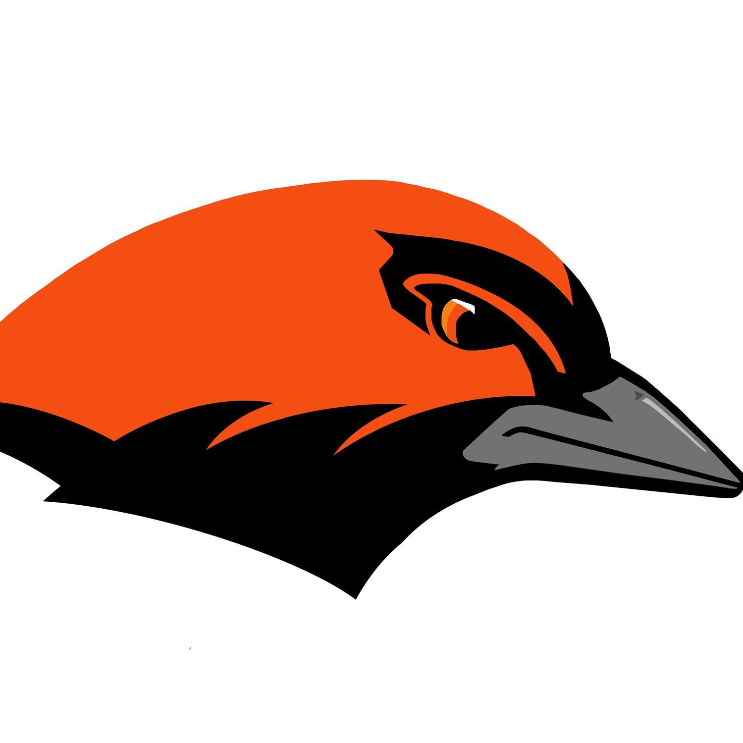 Stanley-Boyd High School | High School Sports | Watch Now | Hudl