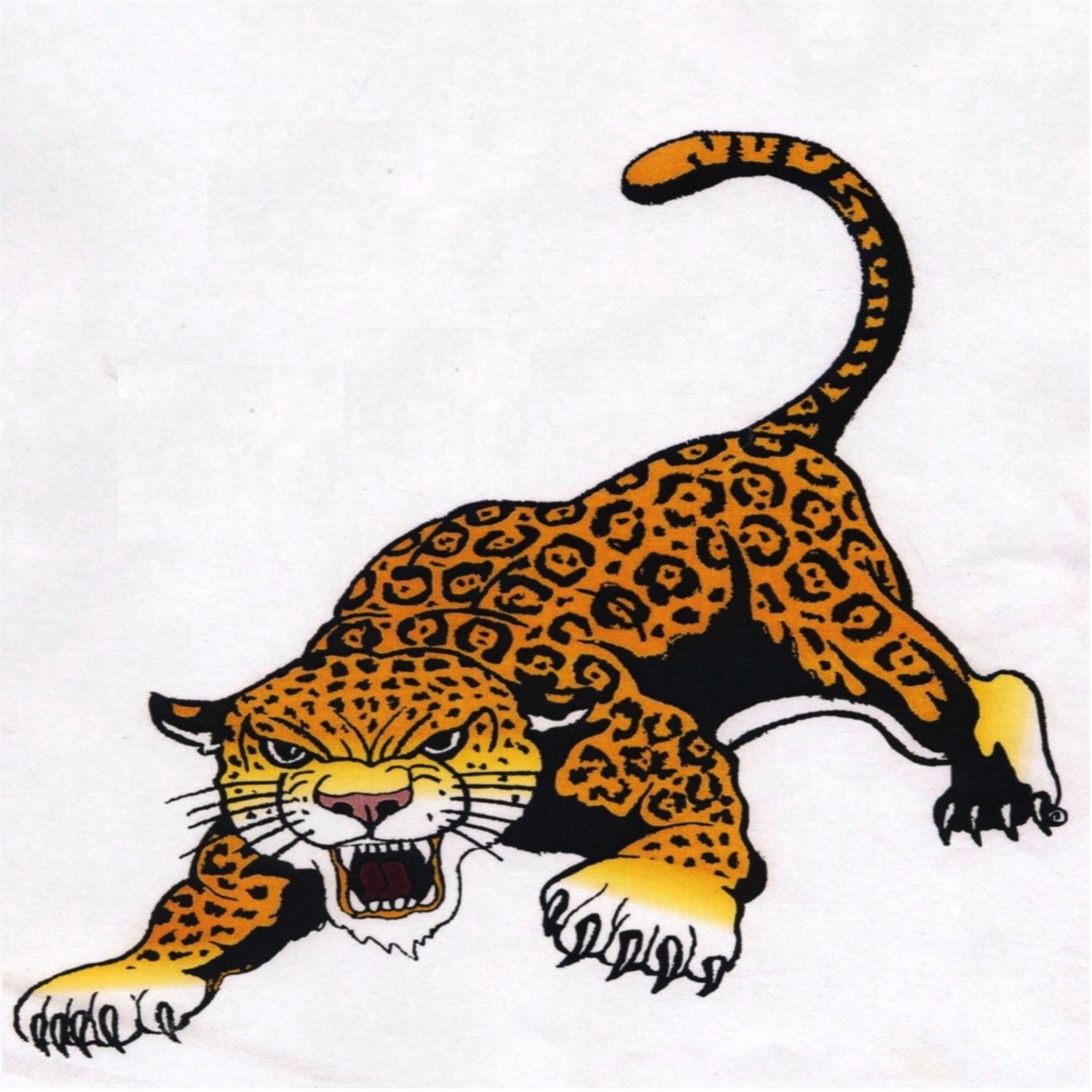 Jaguar Football - Northern Cass High School - Hunter, North Dakota ...