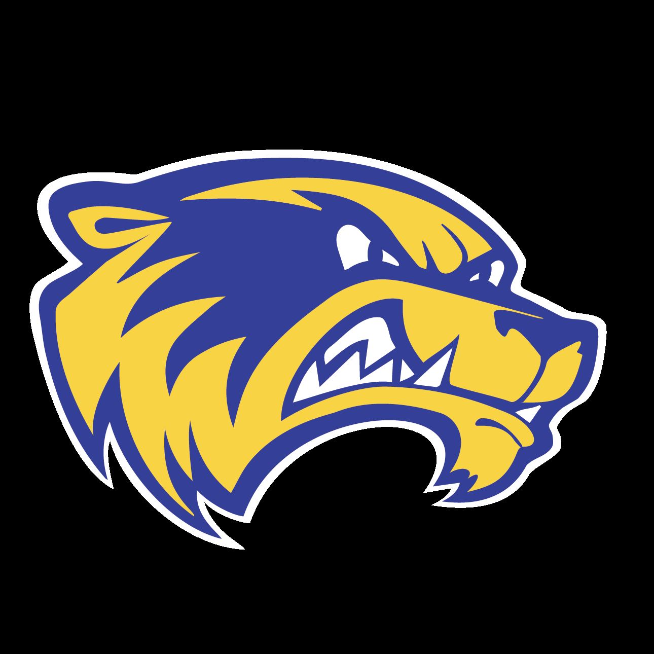 Wadena-Deer Creek High School | High School Sports | Home | Hudl