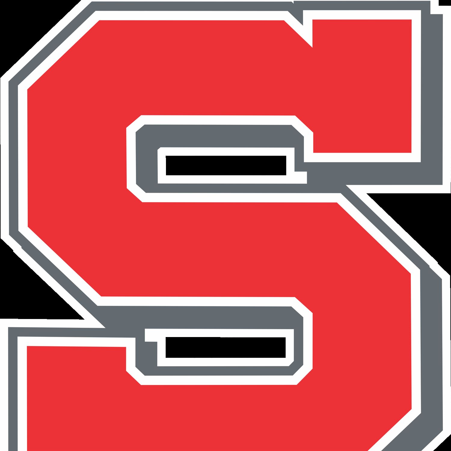 Stebbins Indians Logo