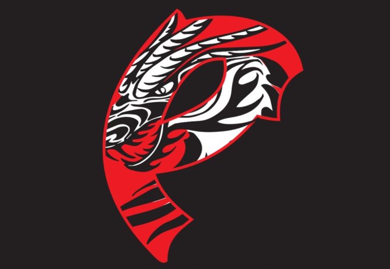 Boys Varsity Dragons Basketball - Pekin High School - Pekin, Illinois ...