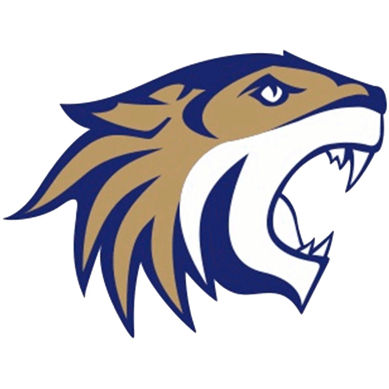 Tokay High School | High School Sports | Teams | Hudl