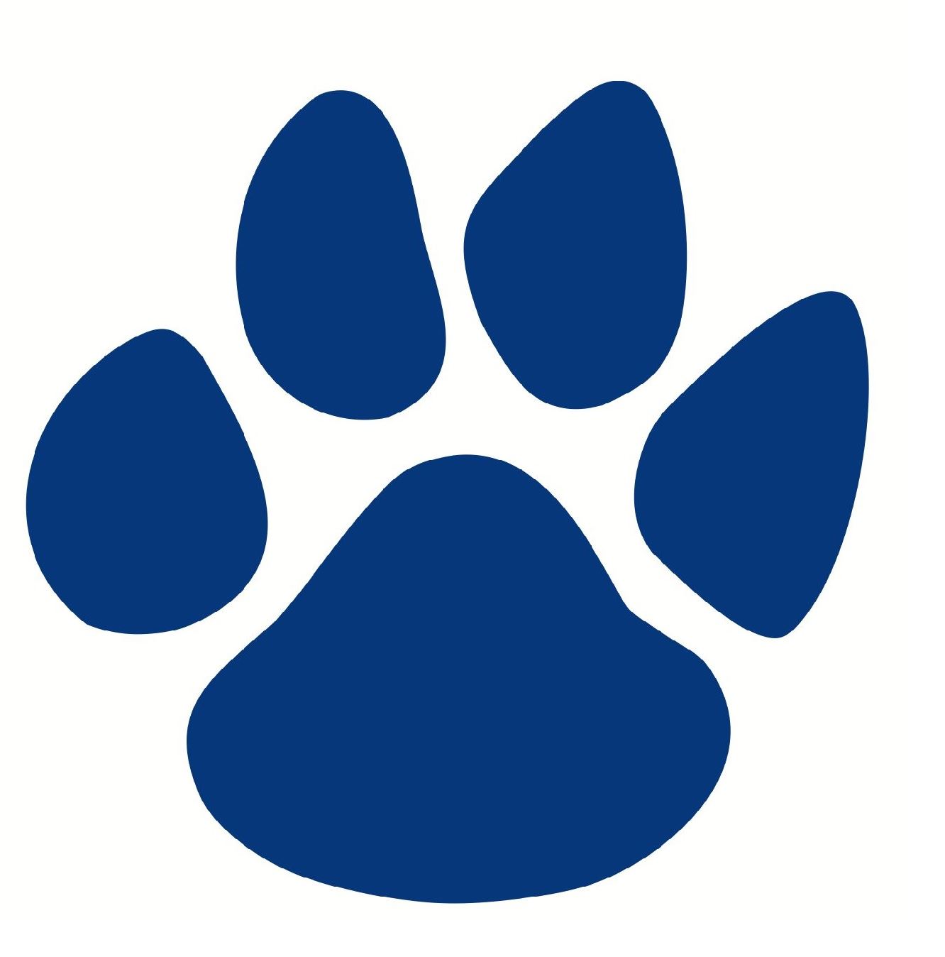 Boys Varsity Football Sparrows Point High School Baltimore Boys Varsity Football Sparrows Point High School Baltimore