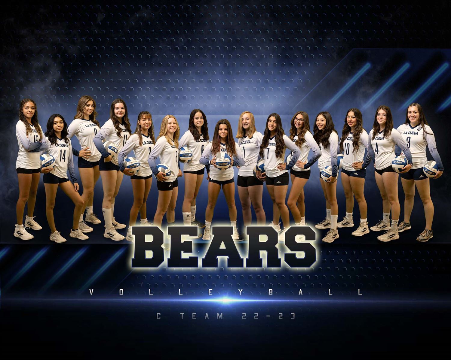 Volleyball Team Posters