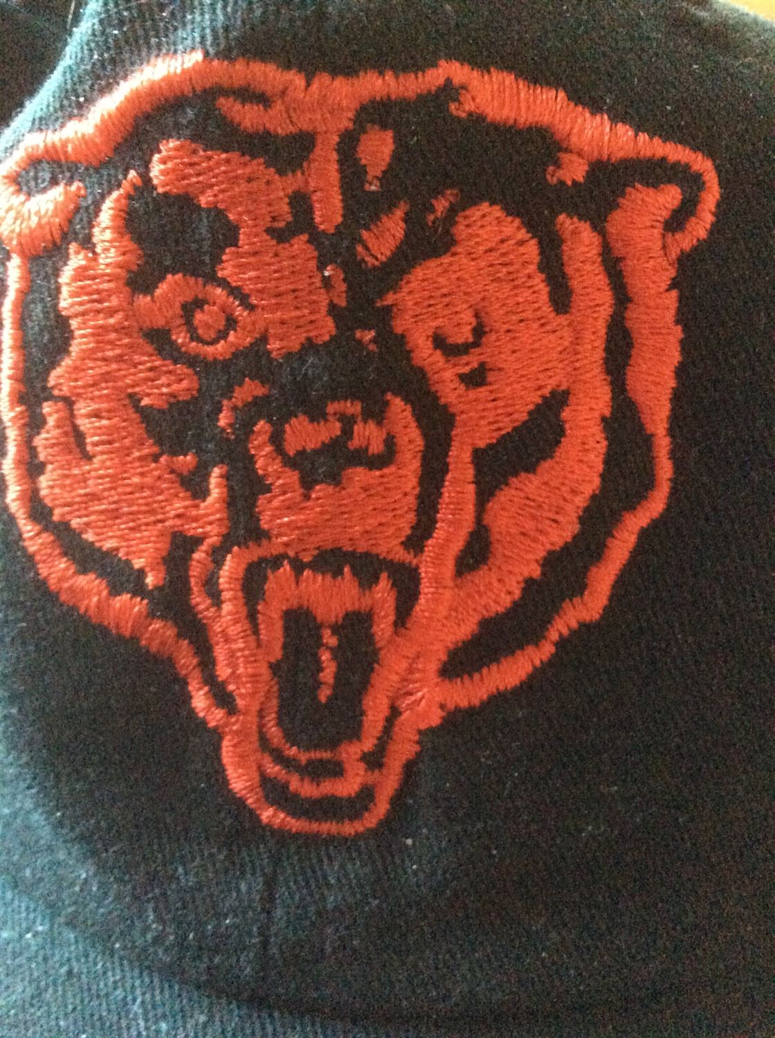 Bergenfield Bears Logo
